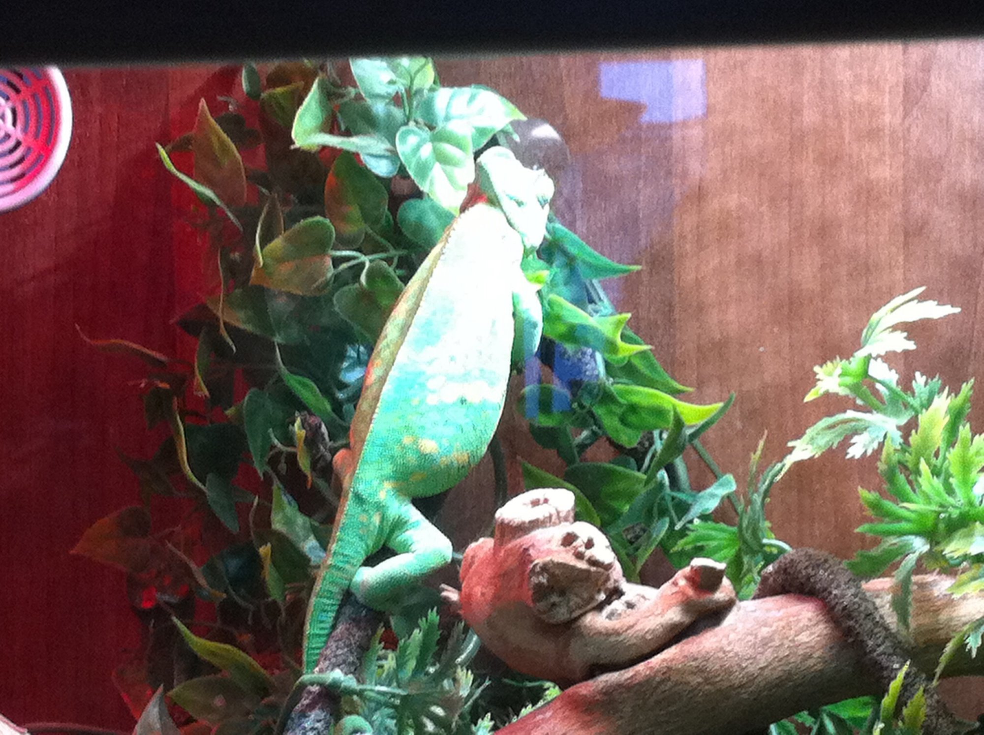 Vivarium Unit | MIG Welding Forum