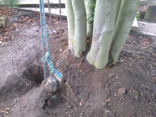Using a chain lift to pull tree roots out. (Pics) | MIG Welding Forum