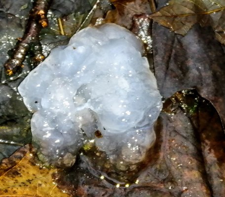 Alien jelly | MIG Welding Forum