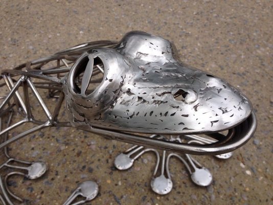 Stainless frog | MIG Welding Forum